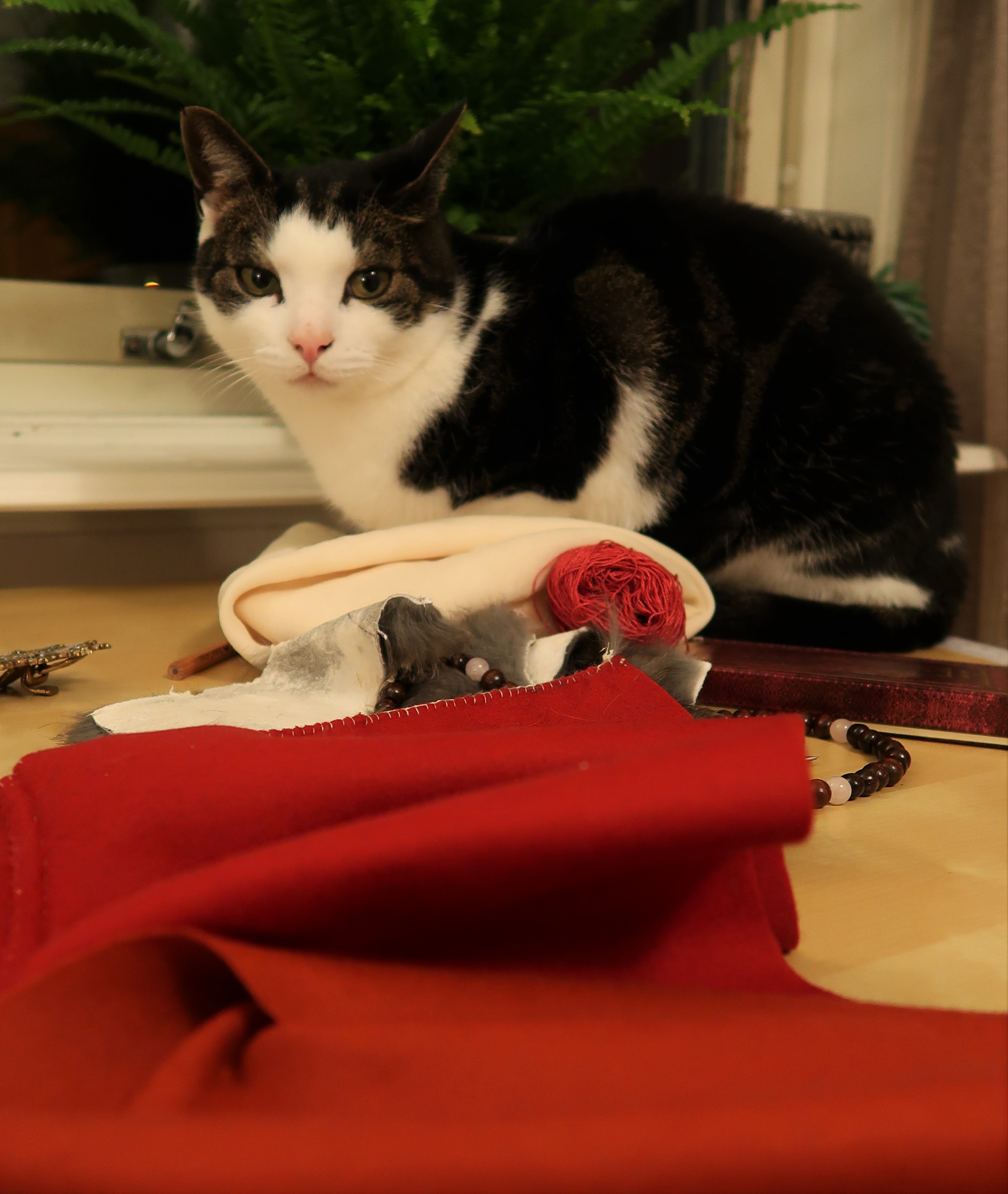 Fur lined gollar- step by step | HANDCRAFTED HISTORY